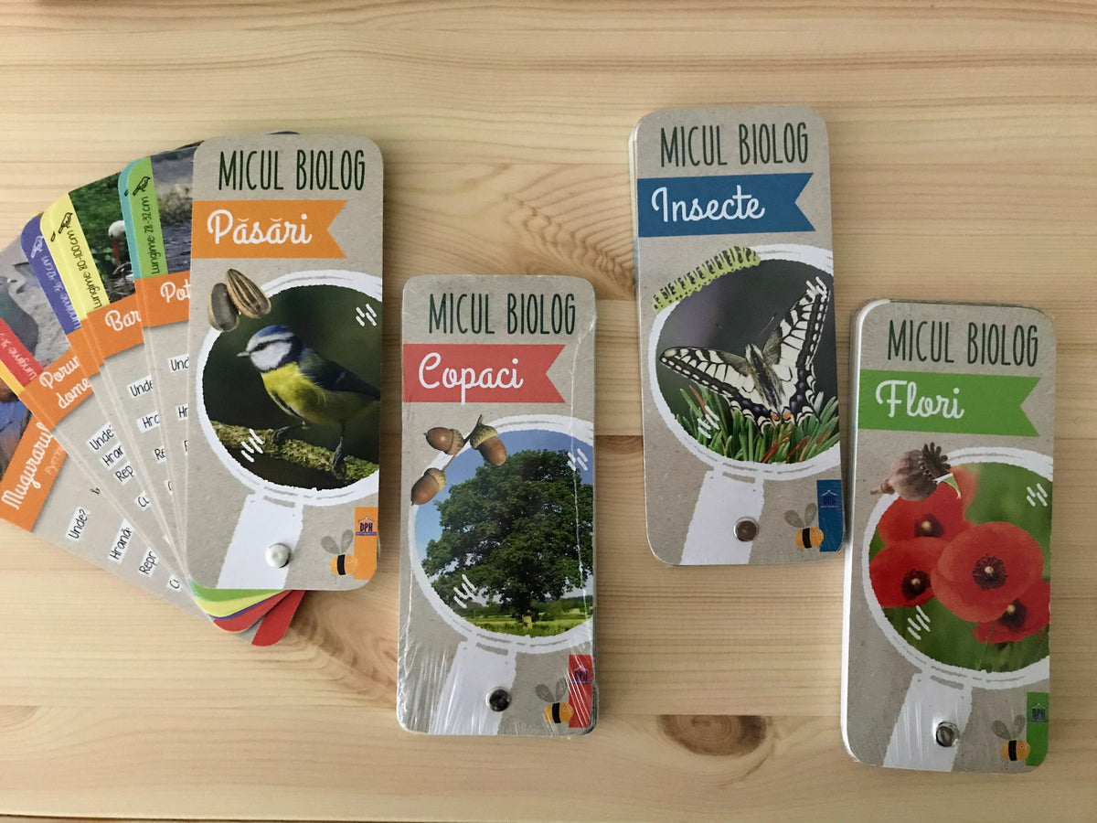 Micul biolog - Insecte - jetoane de Anita van Saan - Librăria lui Andrei